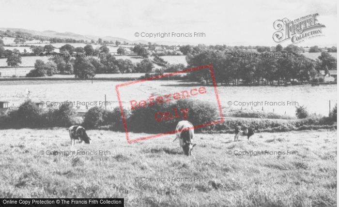Photo of Bodfari, General View c.1960 - Francis Frith
