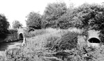 Photo of Braughing, The Village c.1950 - Francis Frith