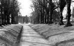 Photo of Cuckfield, Hospital c.1960 - Francis Frith