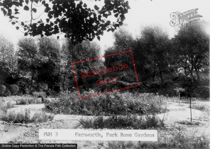 Photo of Farnworth, Park Rose Gardens c.1955 - Francis Frith