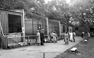 Maidstone Photos - Francis Frith