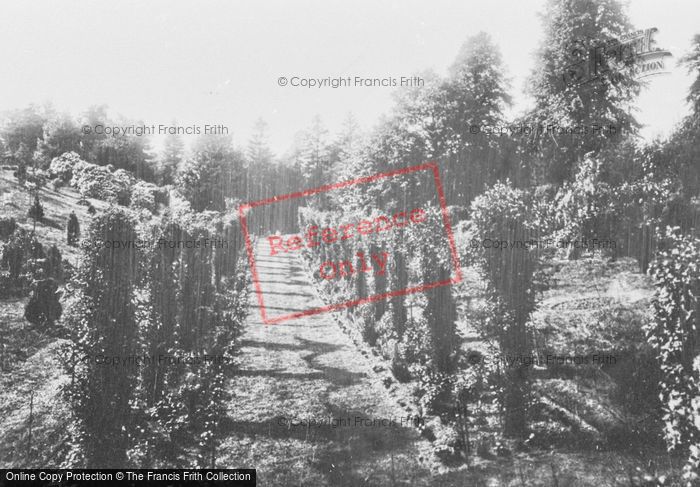 Photo of Pell Wall Hall, The Rosary 1911 - Francis Frith