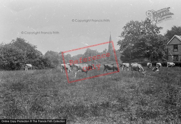 Photo of Ranmore Common, 1915 - Francis Frith