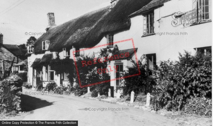 Photo of Stokenham, The Village c.1955 - Francis Frith